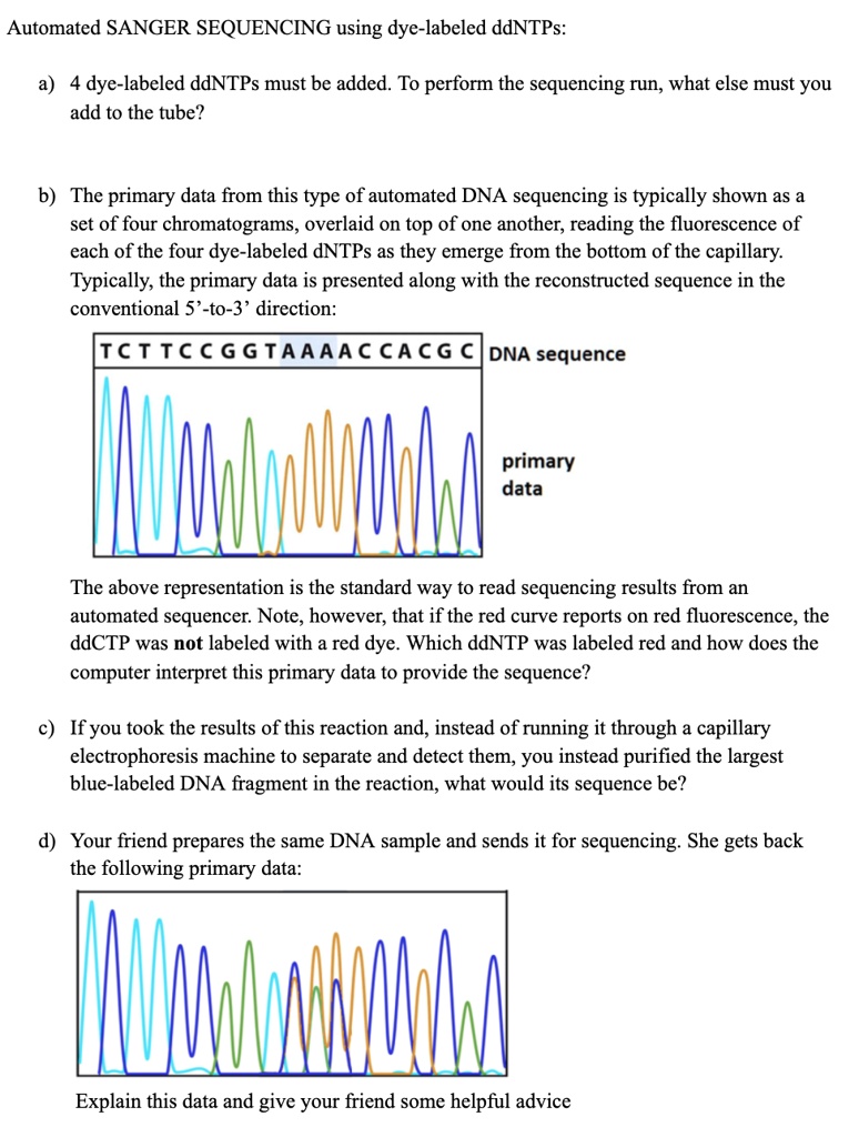 automated sanger sequencing using dye labeled ddntps dye labeled ddntps ...