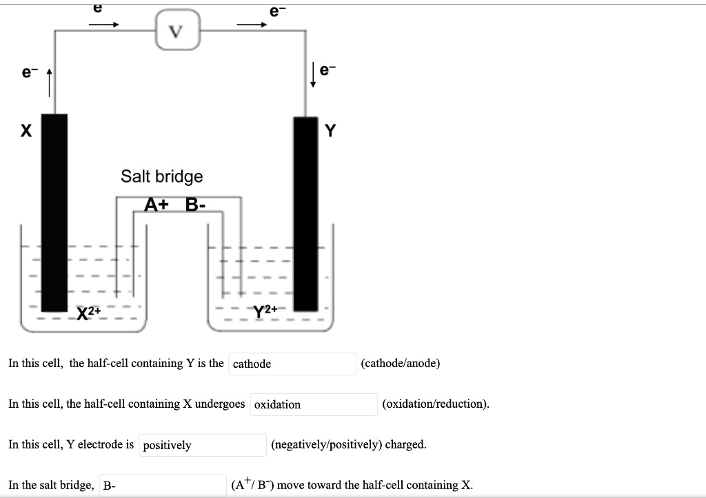 SOLVED: Salt bridge A+ X2" Yz+ In this cell, the half-cell containing Y ...