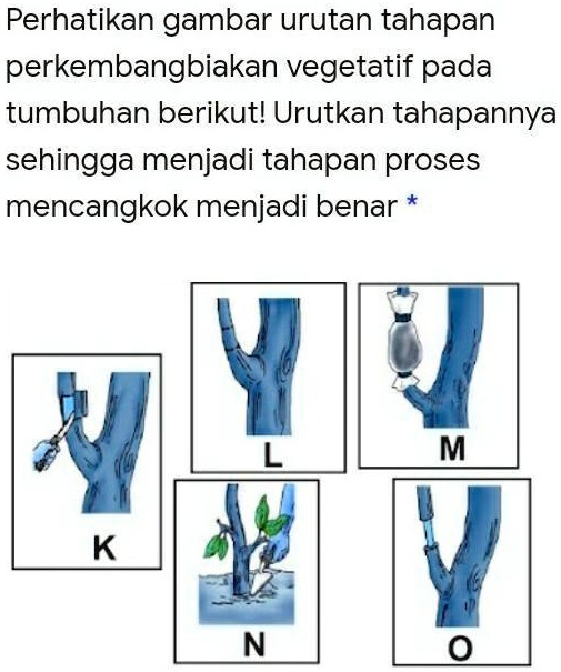SOLVED: tolong aku kakkkkkkk Perhatikan gambar urutan tahapan ... SOLVED: tolong aku kakkkkkkk Perhatikan gambar urutan tahapan ...