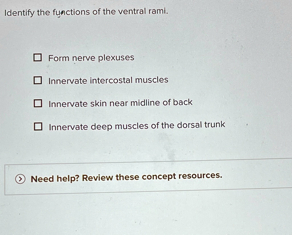 Identify the functions of the ventral rami. Form nerve...