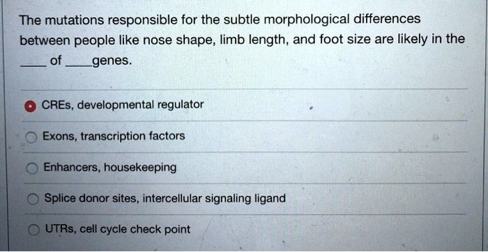 SOLVED: The mutations responsible for the subtle morphological ...