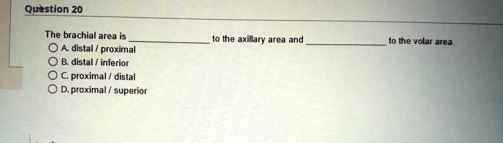 Question 20 The brachial area is to the axillary area and ...