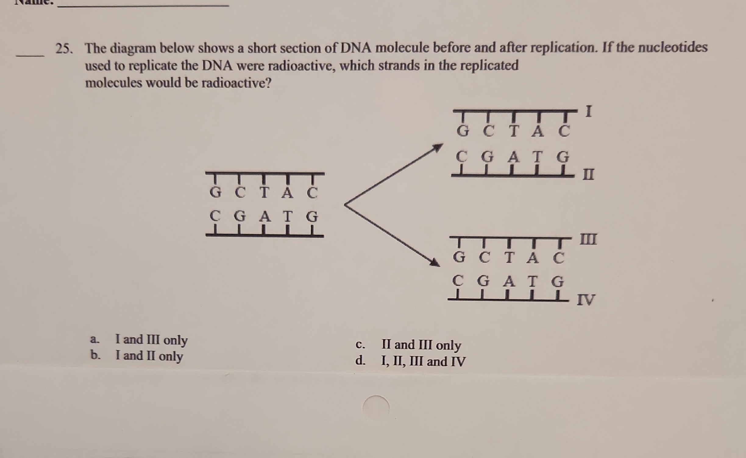 25. The diagram below shows a short section of DNA molecule before and ...