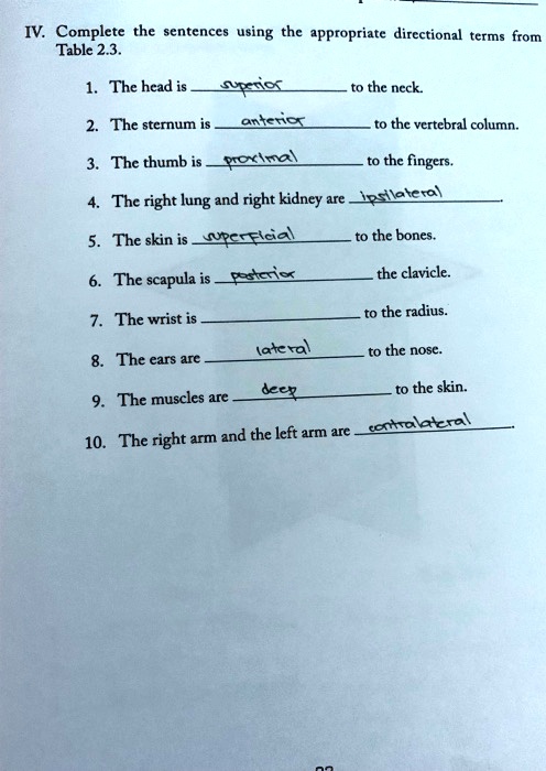 supply the missing and kindly check iv complete the sentences using the ...