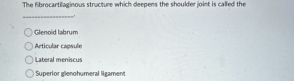 The fibrocartilaginous structure which deepens the shoulder joint is ...