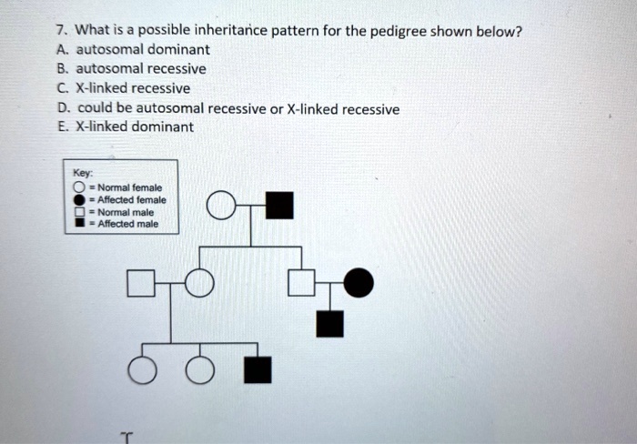 Solved What Is A Possible Inheritance Pattern For The Pedigree Shown