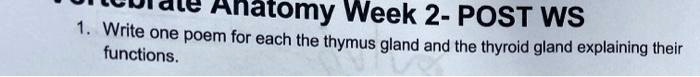 cetate anatomy week 2 post ws write one poem for each the thymus gland ...