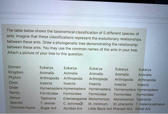 SOLVED: The table below shows the taxonomical classification of 5 ...