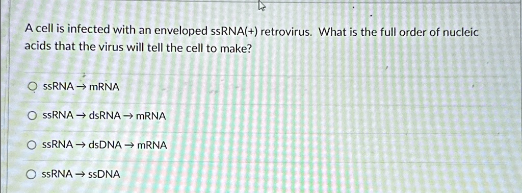 A cell is infected with an enveloped ssRNA(+) retrovirus. What is the ...