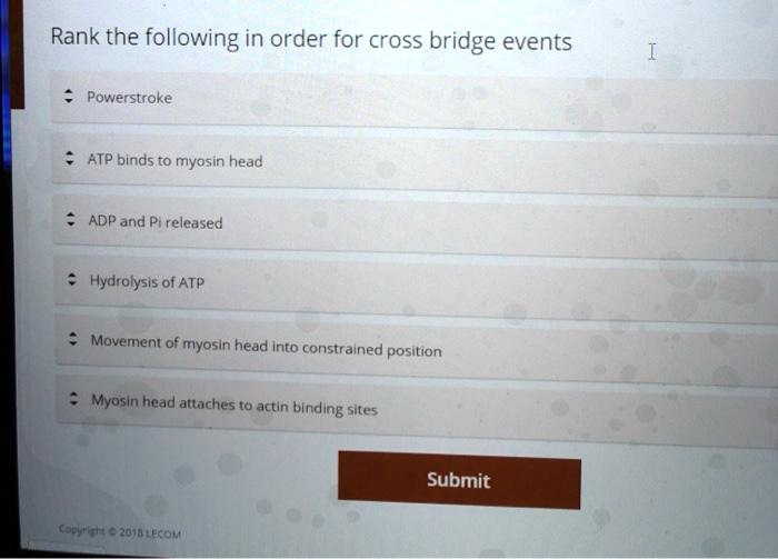 SOLVED: Rank the following in order for cross bridge events Powerstroke ...