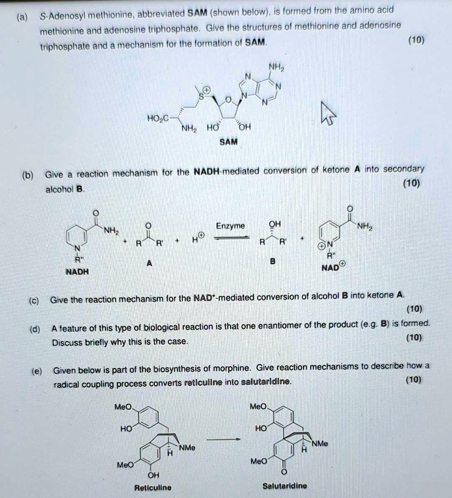 a s adenosyl methionineabbreviated sam shown belowis formed from the ...
