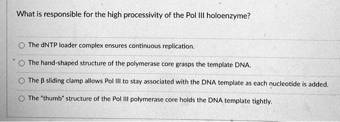 SOLVED: What is responsible for the high processivity of the Pol III ...