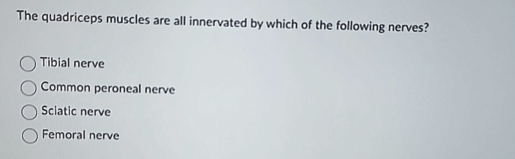 the quadriceps muscles are all innervated by which of the following ...