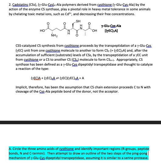 SOLVED:Cadstatins (CSs) , Glu Cxsln-AL polymers derived from cysthiong ...