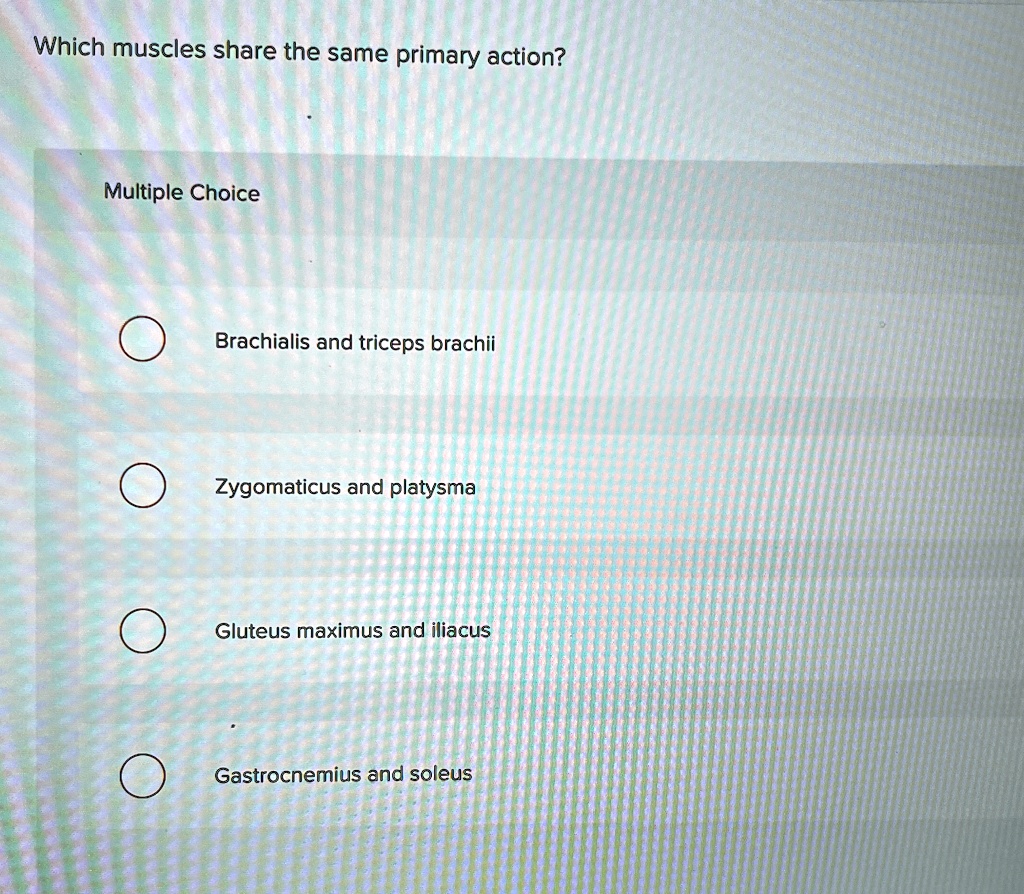 Which muscles share the same primary action? Multiple Choice Brachialis ...