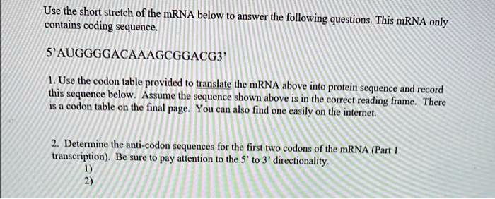Use the short stretch of the mRNA below to answer the following questions. This mRNA only ...