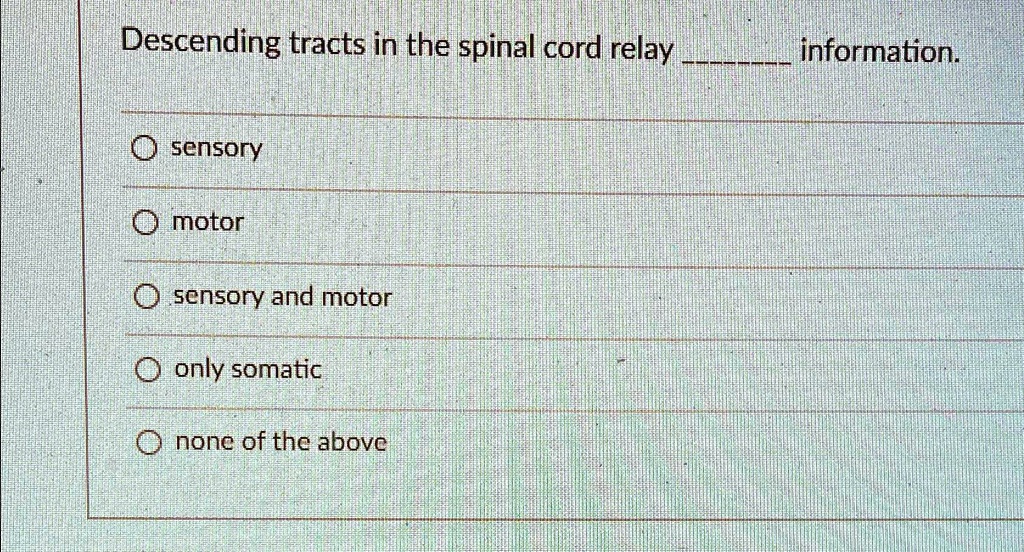 Descending tracts in the spinal cord relay information. sensory motor ...