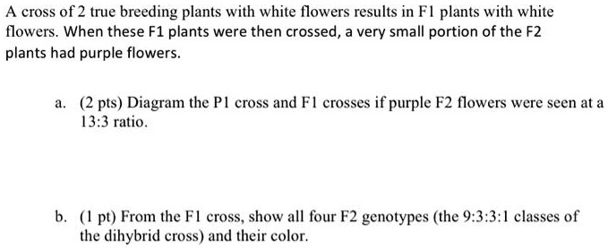 SOLVED: Texts: A cross of 2 true-breeding plants with white flowers ...