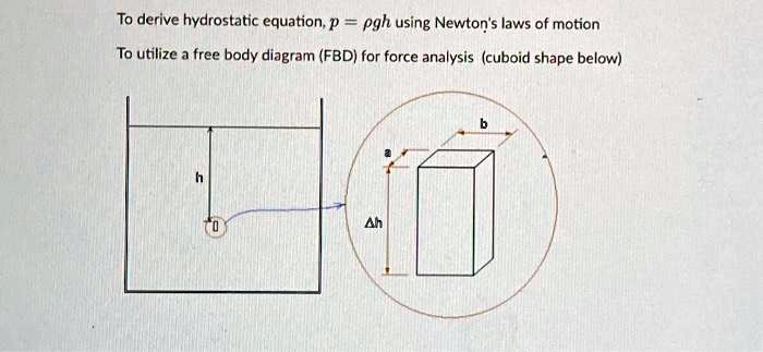 SOLVED: Text: To derive the hydrostatic equation p = pgh using Newton's ...