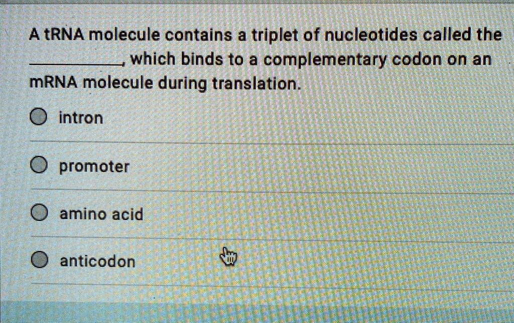 A tRNA molecule contains a triplet of nucleotides called the which binds to a complementary ...