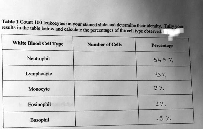 Table 1 Count 100 leukocytes on your stained slide and determine their ...
