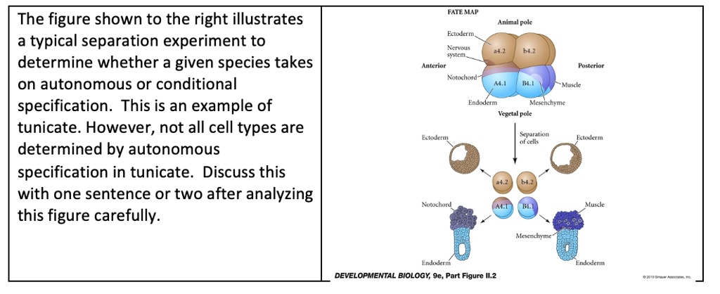 SOLVED: Eenz MAP The figure shown to the right illustrates typical ...