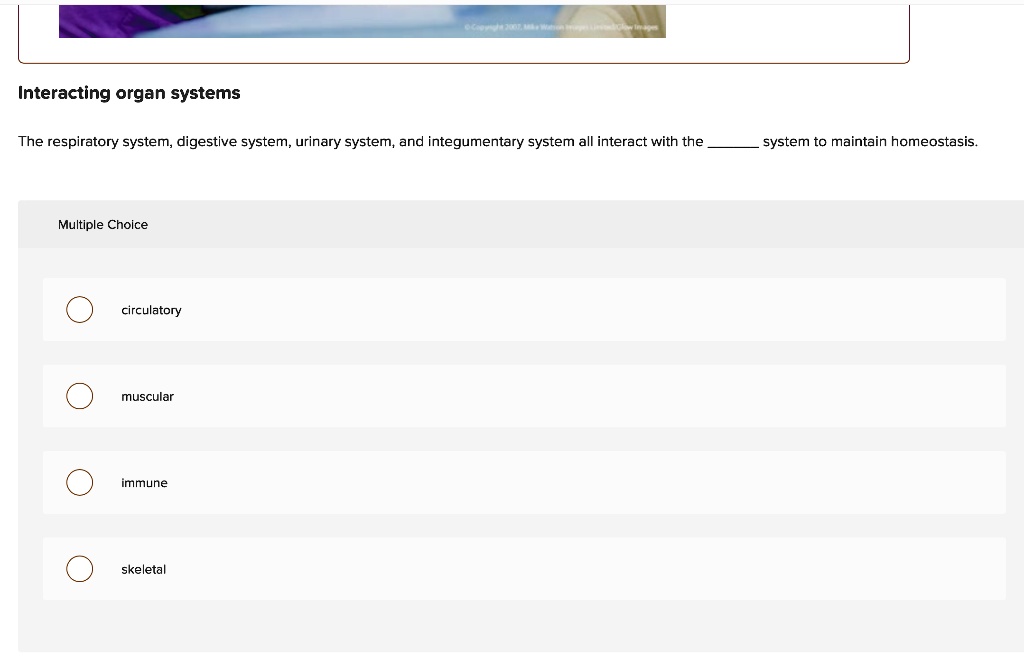 SOLVED: Interacting organ systems The respiratory system, digestive ...