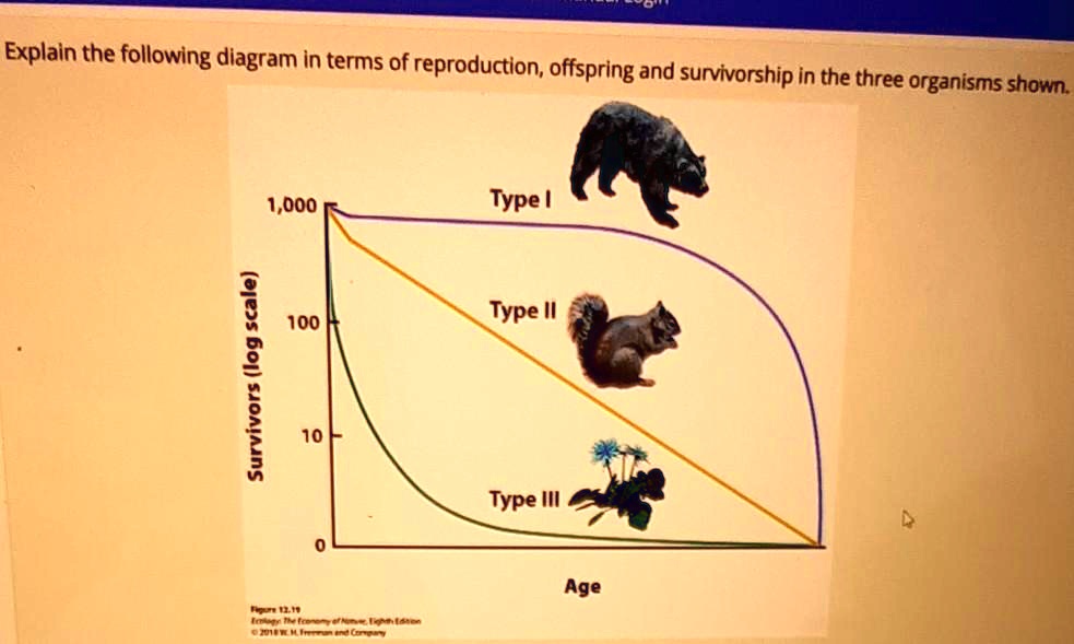 SOLVED: Explain the following diagram in terms of reproduction ...
