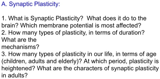 A. Synaptic Plasticity: What is Synaptic Plasticity? What does it do to ...