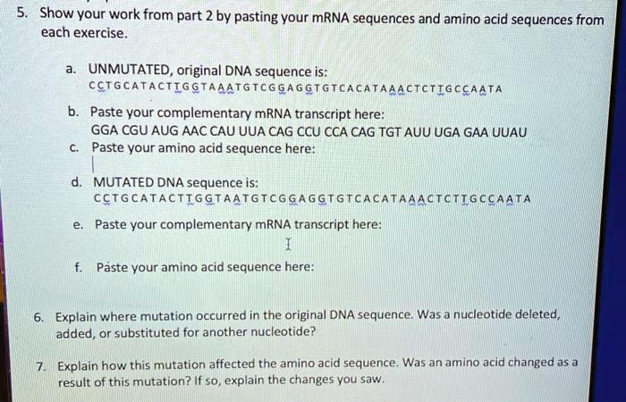 SOLVED:Show your work from part 2 by pasting your mRNA sequences ad ...
