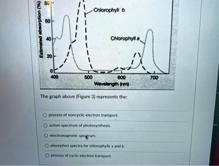 Estimated absorption (%) 80 Chlorophyll b Chlorophyll...