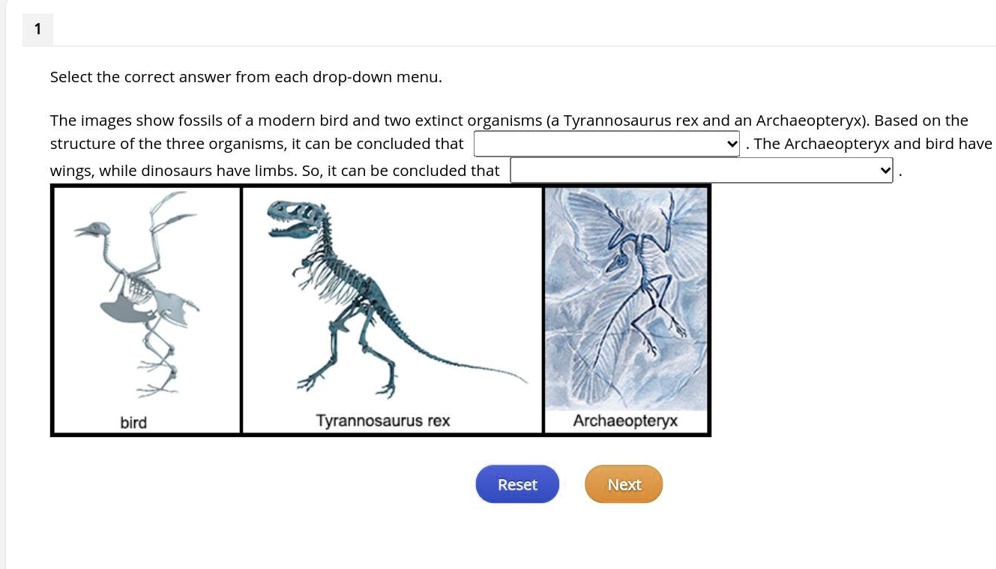 1 Select the correct answer from each drop-down menu. The images show fossils of a modern bird ...