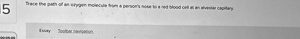 trace the path of an oxygen molecule from a persons nose to a red blood ...