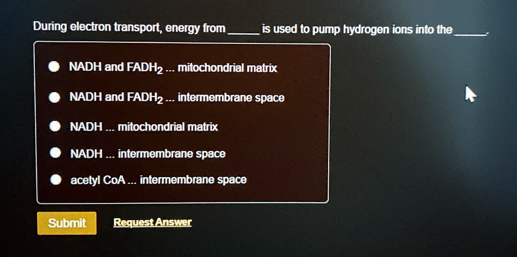 during electron transport energy from is used to pump hydrogen ions ...