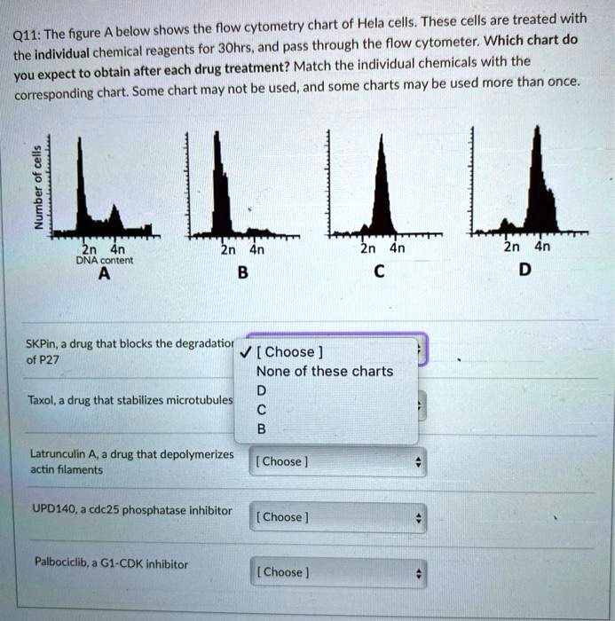 SOLVED: Q11: The figure A below shows the flow cytometry chart of Hela ...