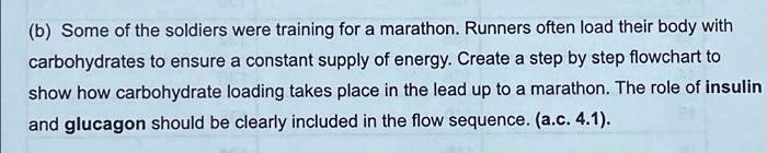 (b) Some of the soldiers were training for a marathon. Runners often ...