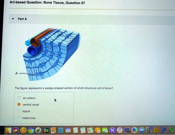 SOLVED: Part A The figure represents a wedge-shaped section of which ...