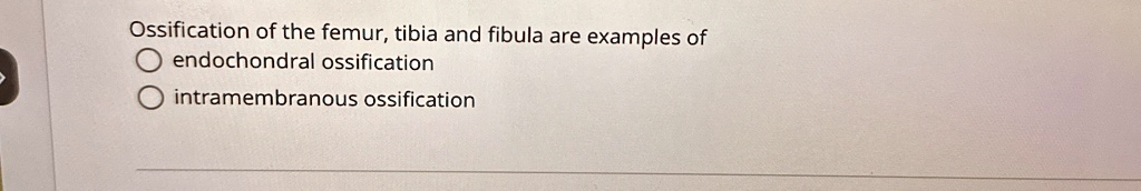ossification of the femur tibia and fibula are examples of endochondral ...