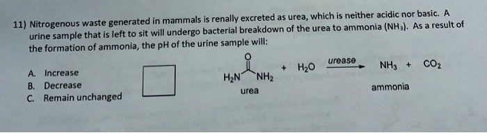 11) Nitrogenous waste generated in mammals is renally excreted as urea ...