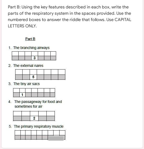 SOLVED: 'Part B: Using the key features described in each box, write ... SOLVED: 'Part B: Using the key features described in each box, write ...