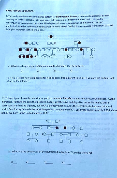 basic pedigreepractice through a mutation in the normal gene oo 0 ...