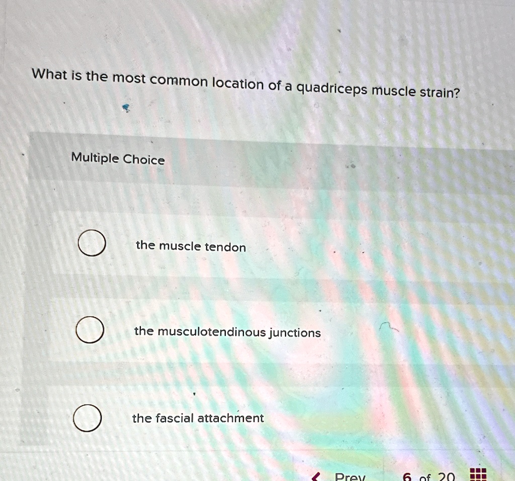 What is the most common location of a quadriceps muscle strain ...