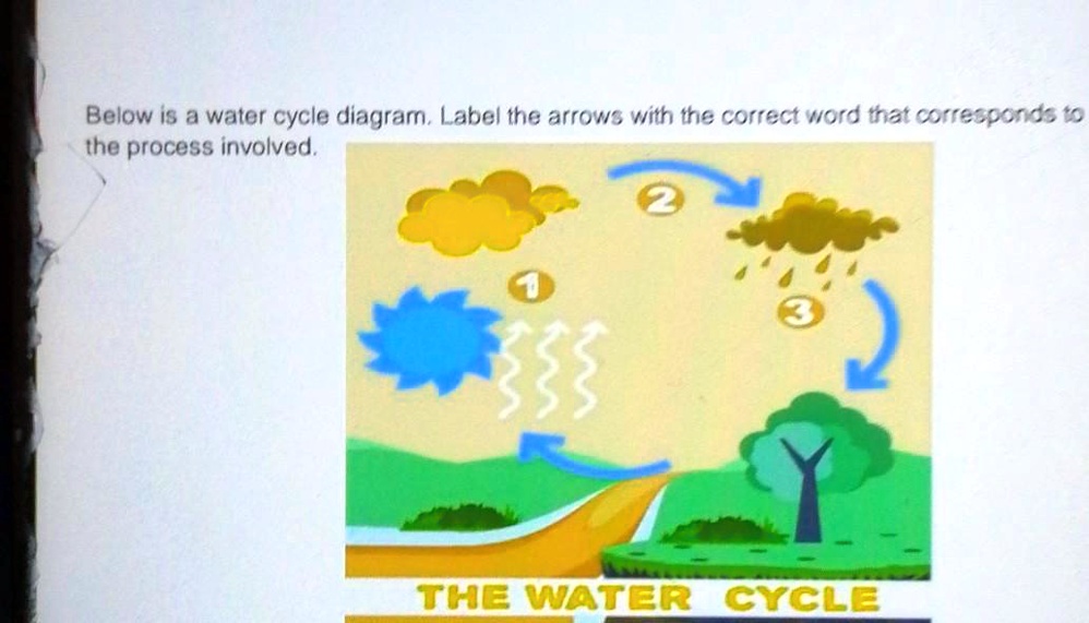Below is a water cycle diagram. Label the arrows with the correct word ...