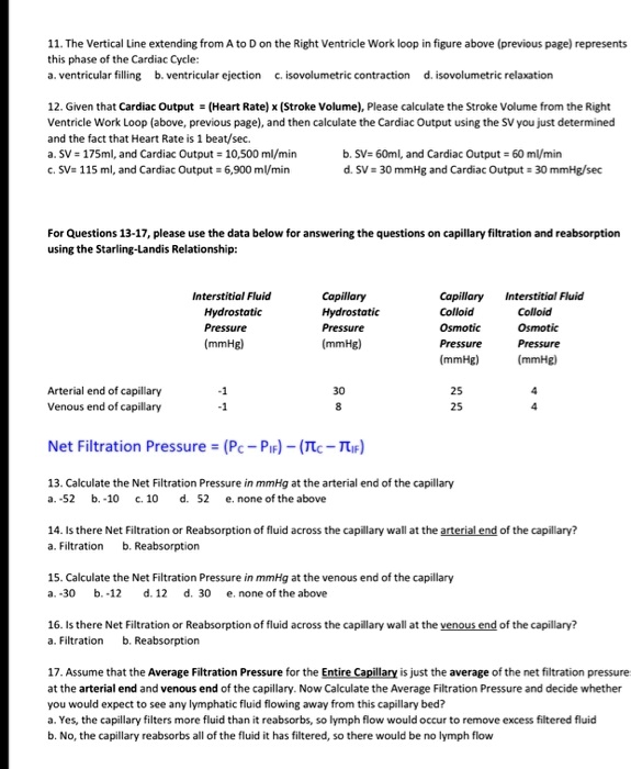 12 17 11 the vertical line extending from a to d on the right ventricle ...