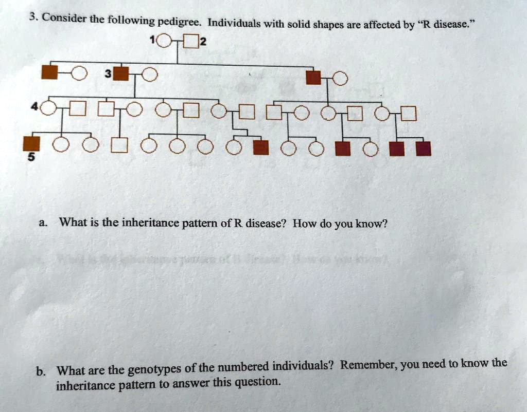 3 consider the following pedigree individuals with solid shapes are ...