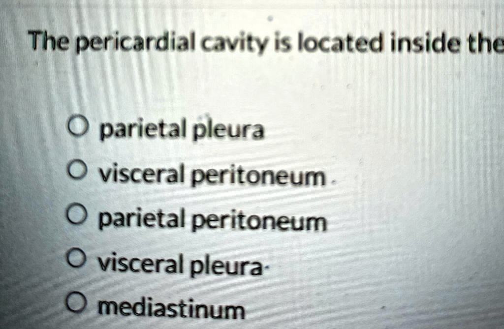 The pericardial cavity is located inside the O parietal pleura O ...