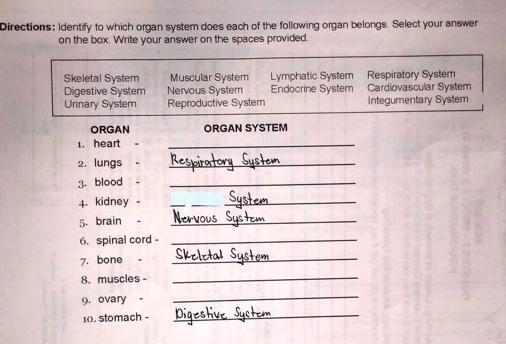 SOLVED: ORGAN SYSTEM Skeletal System Digestive System Urinary System ...