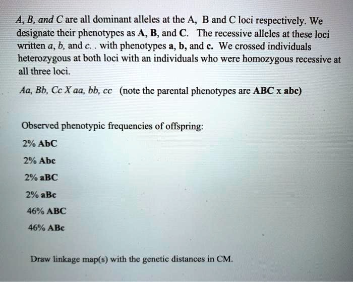 ab and are all dominant alleles at the a b and c loci respectively we ...