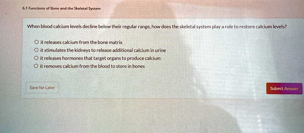 61 functions of bone and the skeletal system when blood calcium levels ...