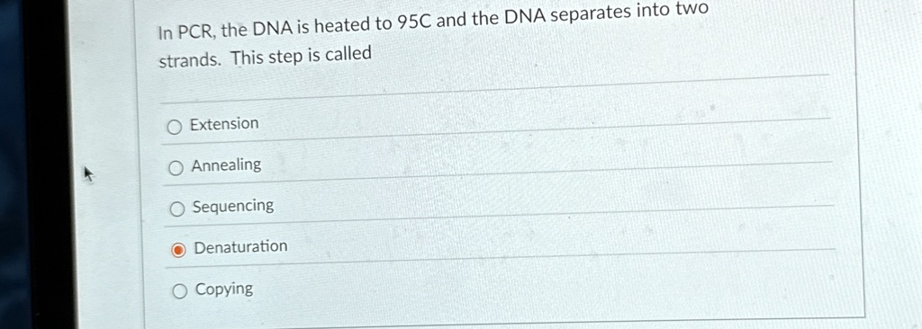 in pcr the dna is heated to 95c and the dna separates into two strands ...